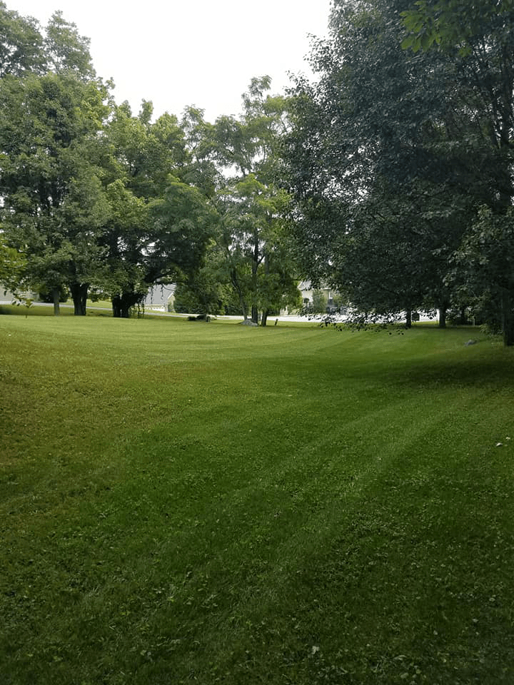 Lawn Enforcement Mowing Offers Commercial Lawn Maintenance in Kingsport ...